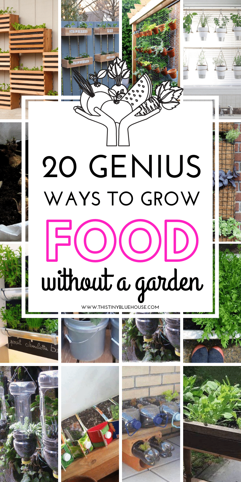 20 Creative Ways To Start Growing Your Own Food - This Tiny Blue House