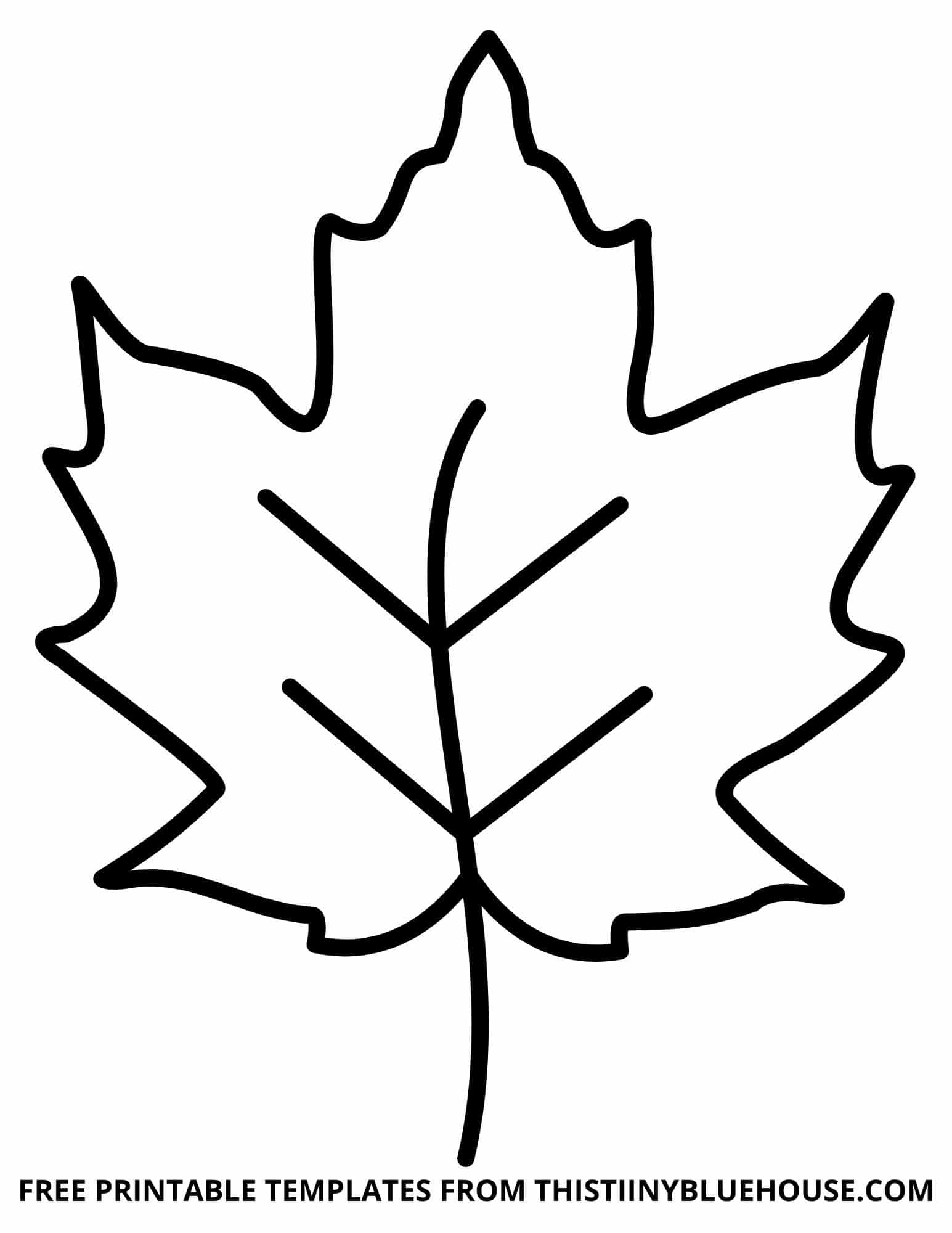 Free Leaf Template Printable 6 Sizes Of Leaf Outlines Small Medium 