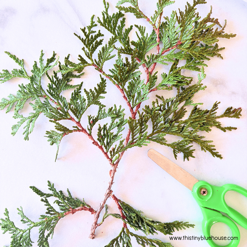 Cedar Branch Christmas Tree Nature Craft - This Tiny Blue House