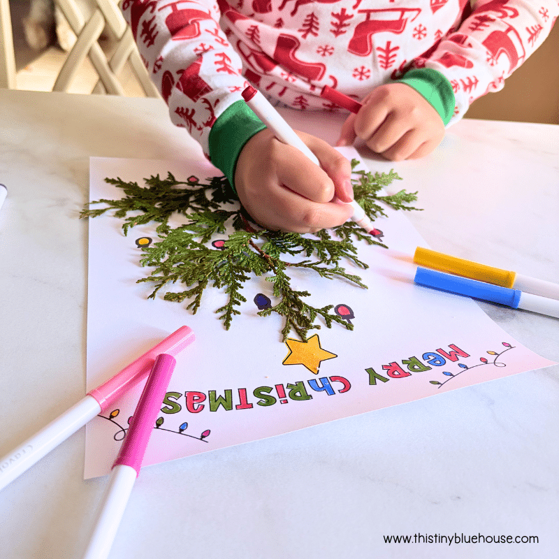 Cedar Branch Christmas Tree Nature Craft - This Tiny Blue House