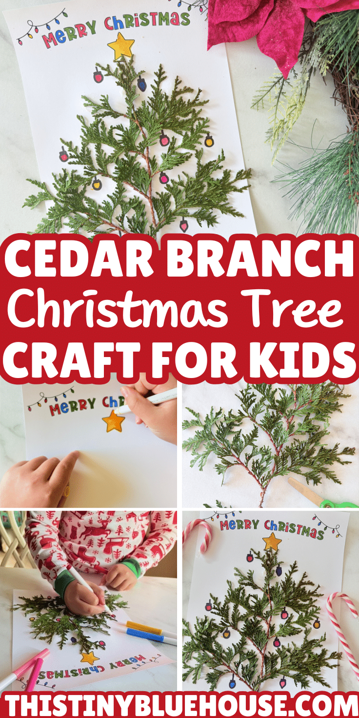 Easy Cedar Branch Christmas Tree Nature Craft (Freebie) - This Tiny ...