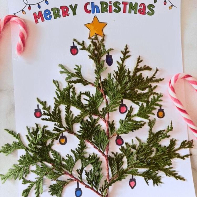 Christmas Light Suncatchers (Free Printable Template) - This Tiny Blue ...