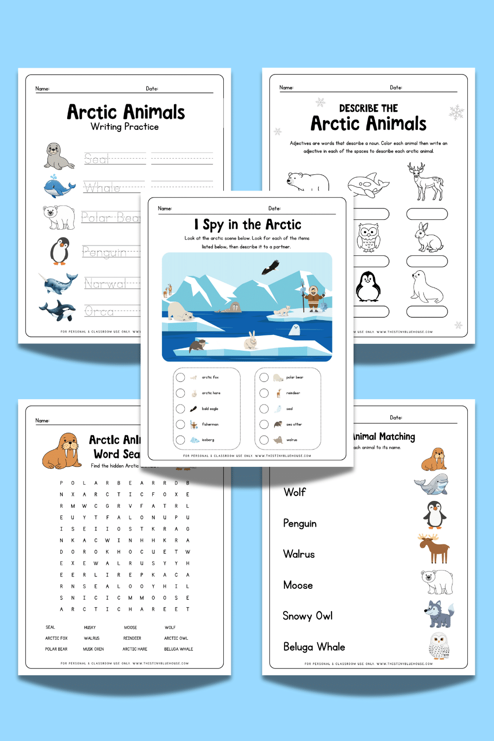 Arctic Animal Worksheets (Free Printable) - This Tiny Blue House