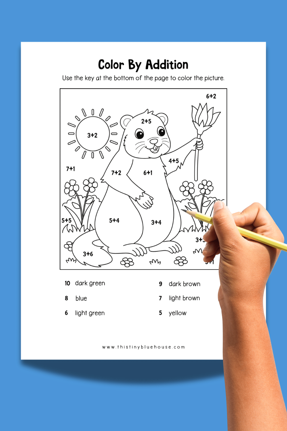 Groundhog Color By Number (Free Printable Template) - This Tiny Blue House