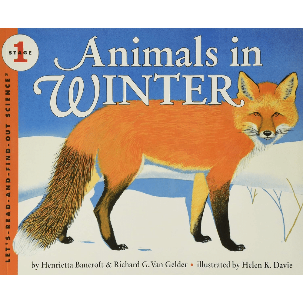 15+ Arctic Animal Books Kids Love - This Tiny Blue House