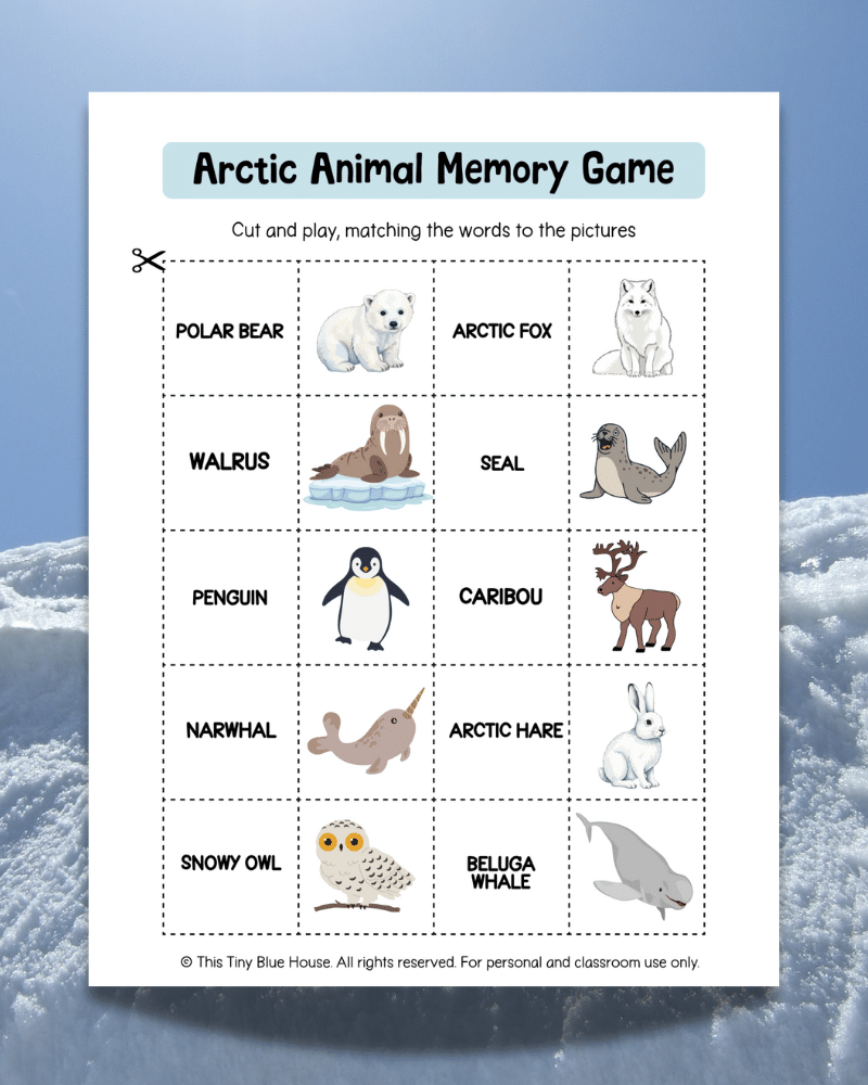 Arctic Animal Memory Game (Free Printable) - This Tiny Blue House