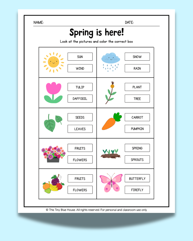 Free Printable Spring Worksheets for Pre-K to Grade 1 (10-Page Activity ...