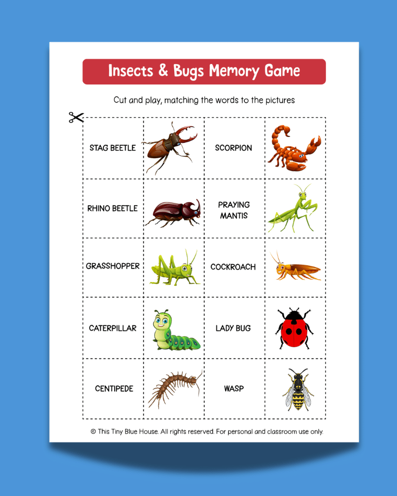 Insect and Bugs Memory Game (Free Printable) - This Tiny Blue House