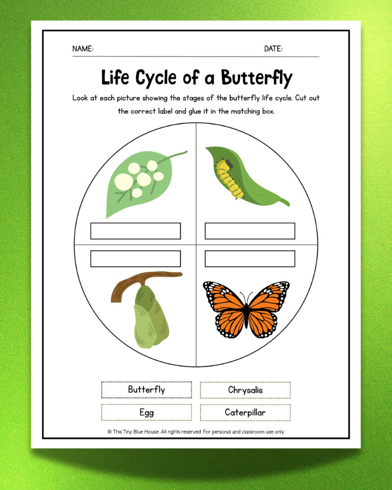 Butterfly Life Cycle Worksheets (Free Printable Bundle for Kids) - This ...