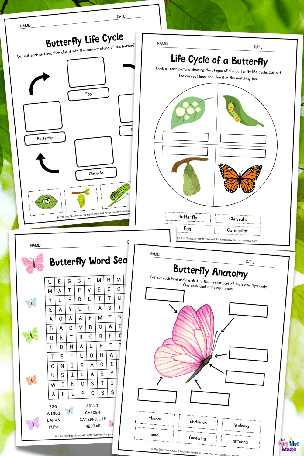 Butterfly Life Cycle Worksheets (Free Printable Bundle for Kids) - This ...