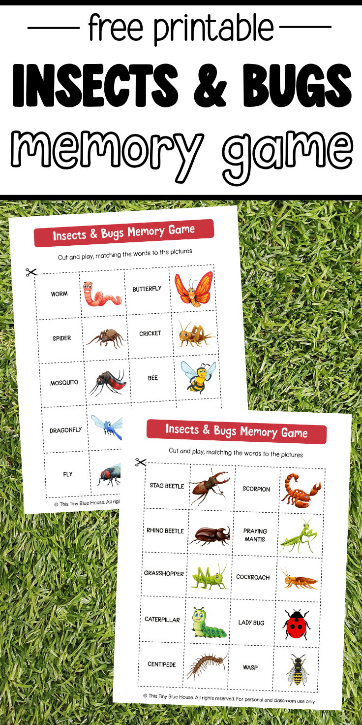 Insect and Bugs Memory Game (Free Printable) - This Tiny Blue House